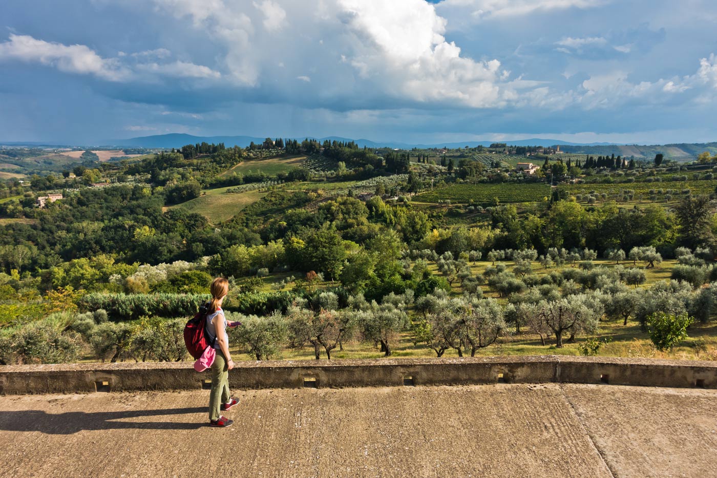 Vernaccia di San Gimignano, Guida Completa | Vino Bianco DOCG